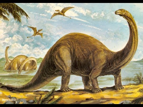Brontosaurus Facts - Thunder Lizard | Science Facts