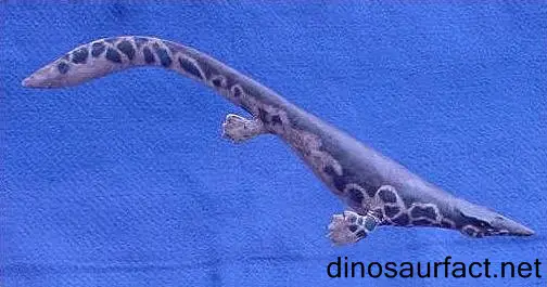 Hainosaurus Facts | Science Facts