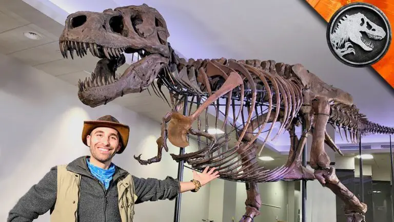 T-Rex Facts & Pictures - Dinousaurs | Science Facts