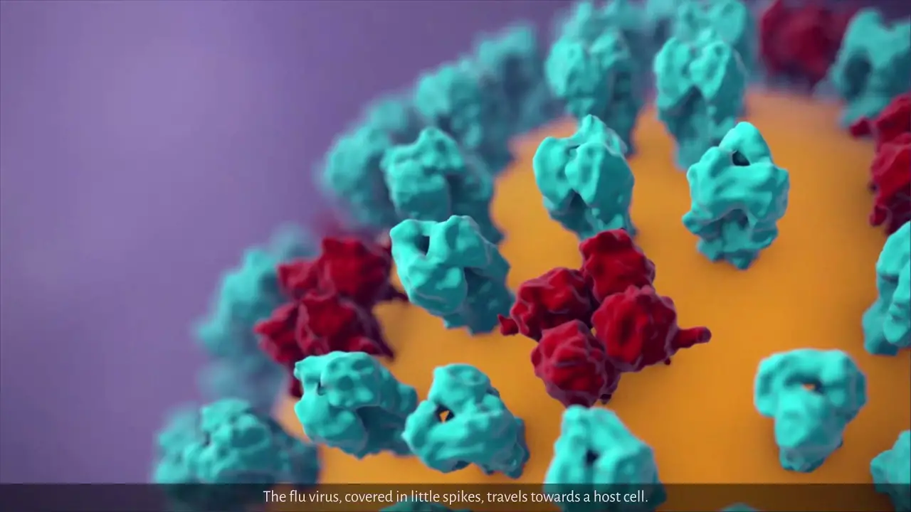 Are Viruses Alive? | Science Facts