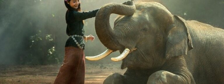 Mammal Classification Table | Science Facts