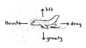 What is the name of the principle that explains why airplanes can fly ...