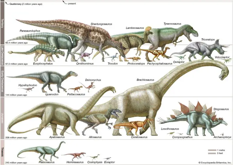 Timeline of Dinosaurs | Science Facts